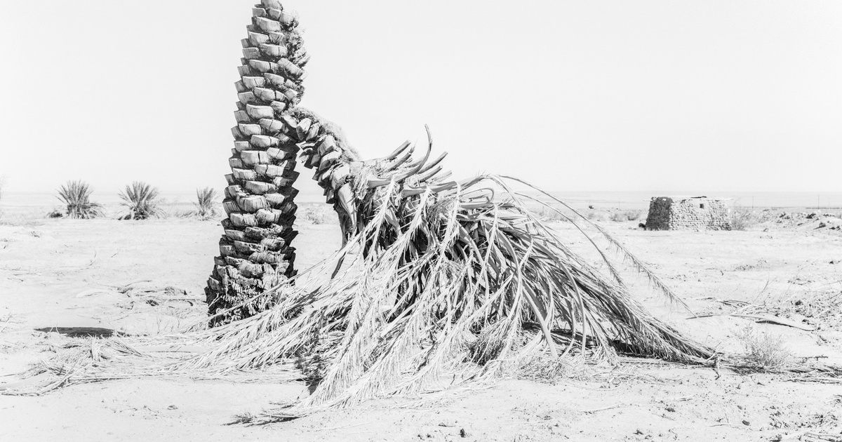 ANNOUNCING THE REPRESENTATION OF SYBREN VANOVERBERGHE | KETELEER GALLERY